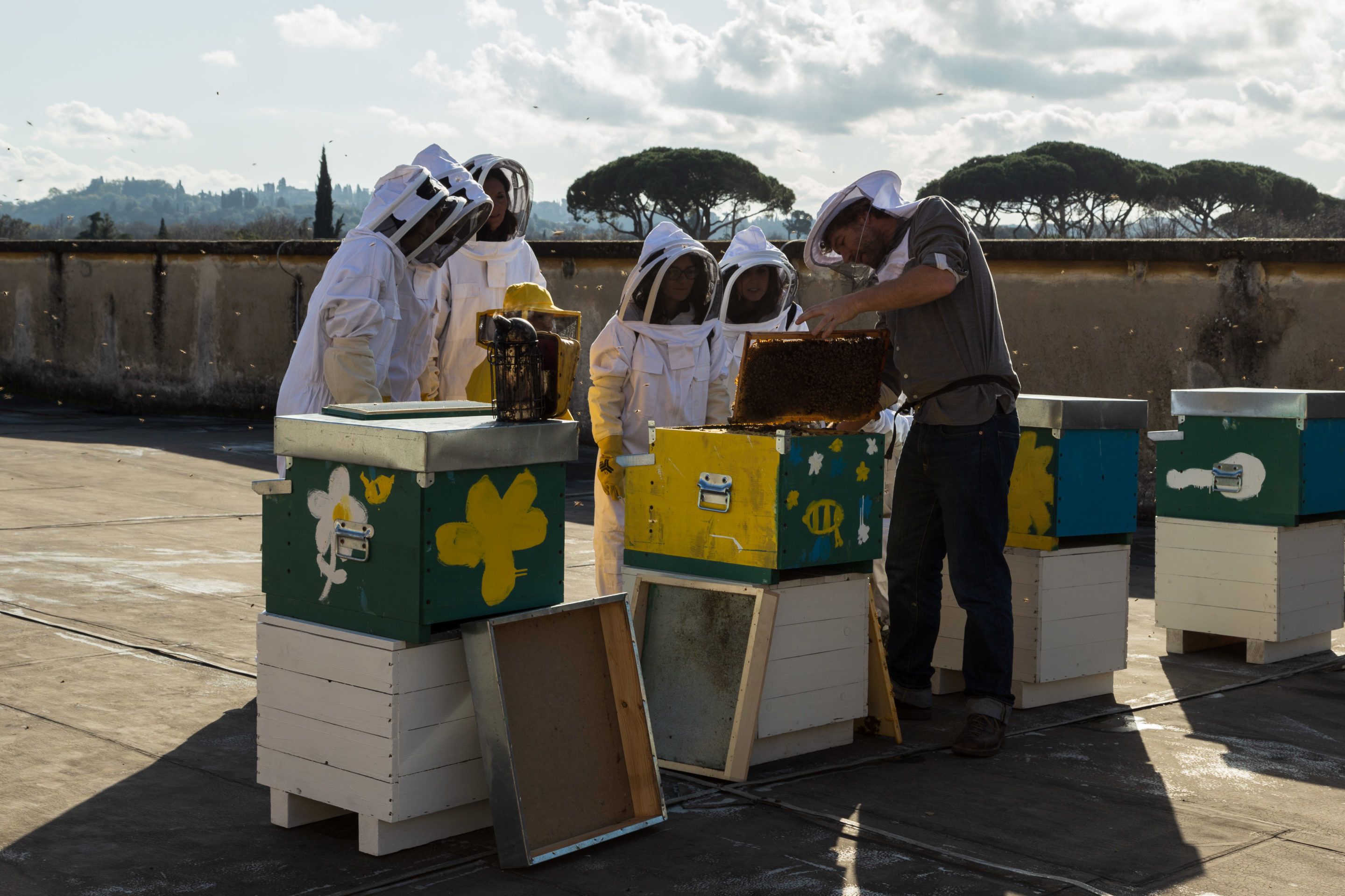BEE ALIVE: discovering urban beekeeping - Manifattura Tabacchi