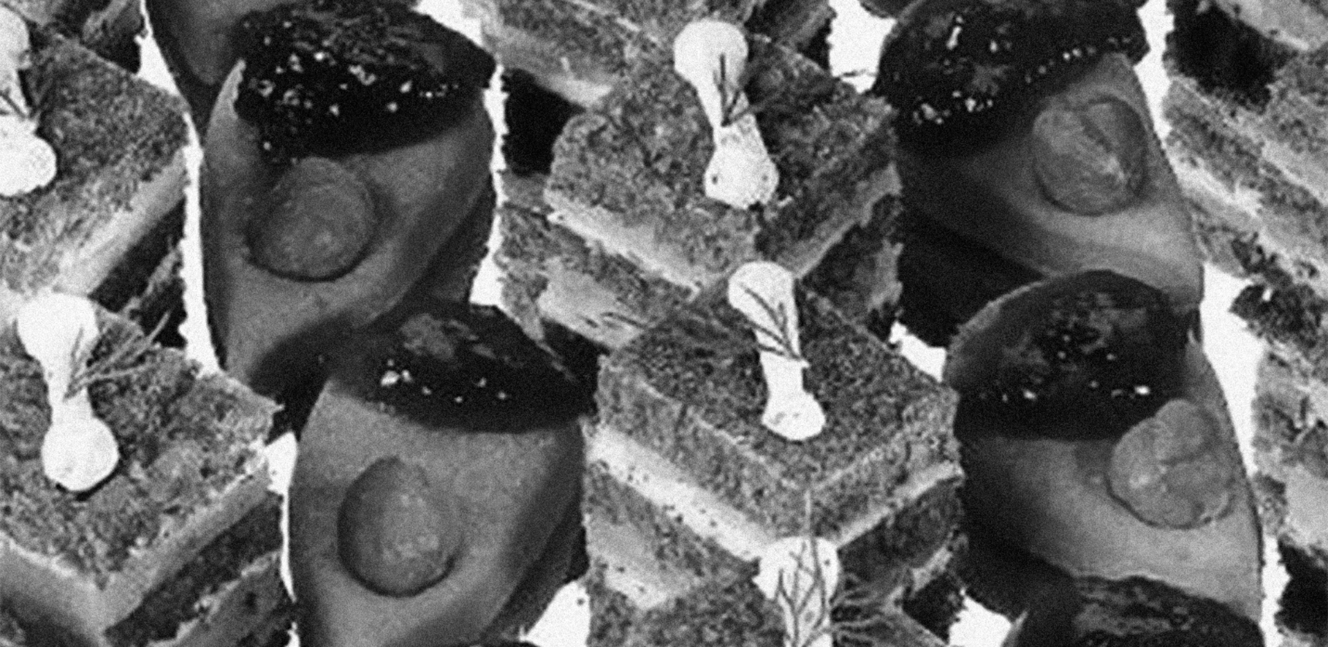 Grand Buffet | Toast Project Space - Manifattura Tabacchi